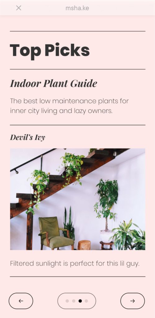 Milkshake App | Insta Website Maker